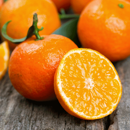 Kishu Mandarin Tree (Seedless) – fast-growing-trees2s.com