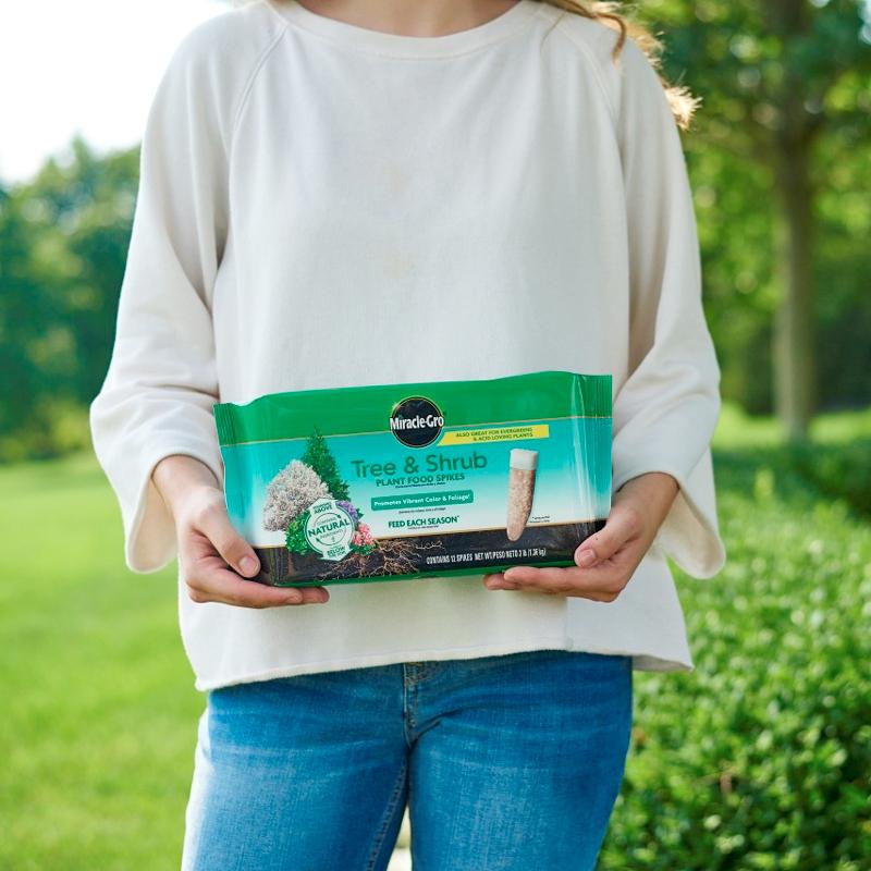 MiracleGro® Tree & Shrub Spikes – fast-growing-trees2s.com